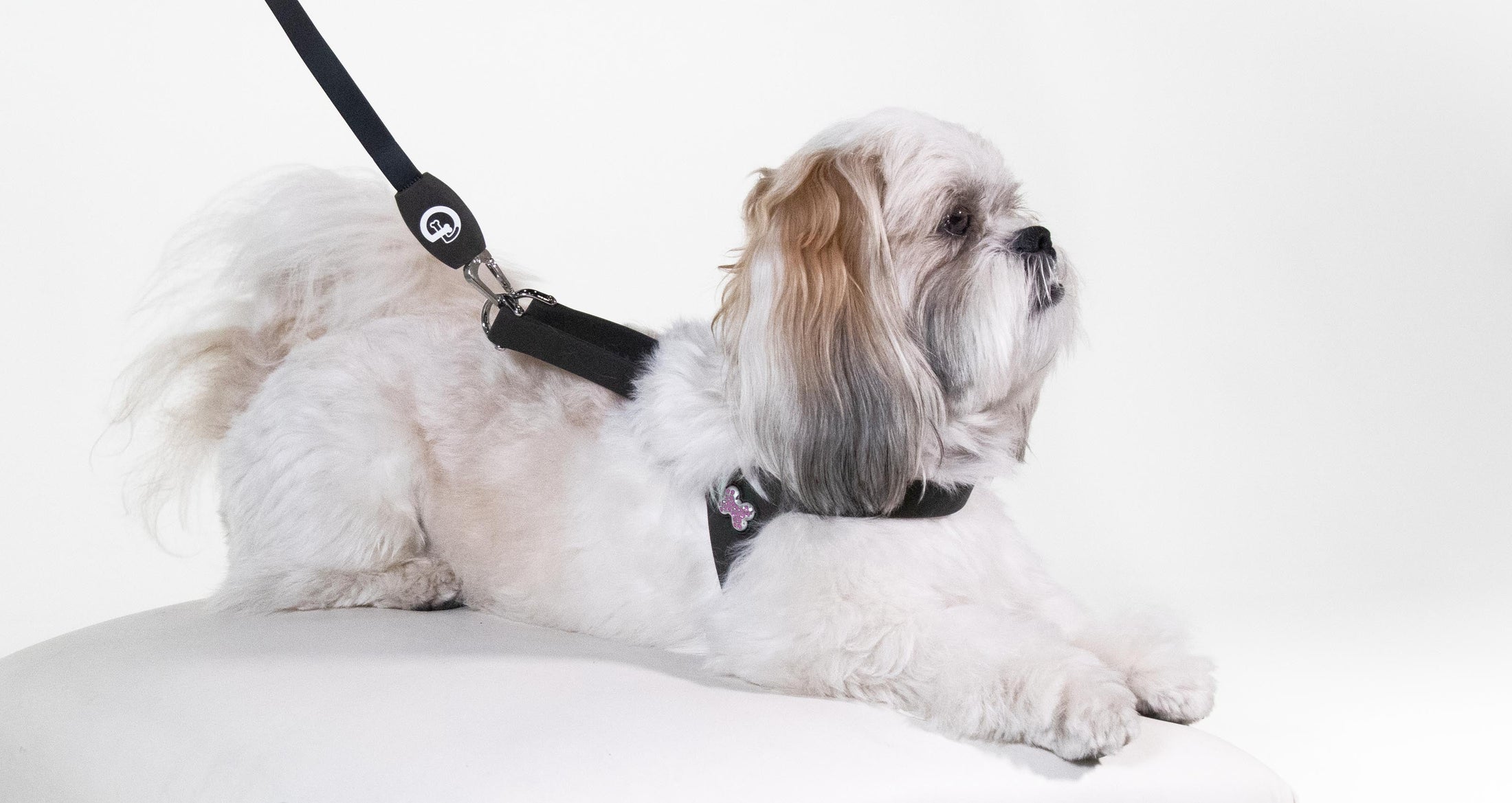 Home | BONEFLY - The active luxury lifestyle dog brand