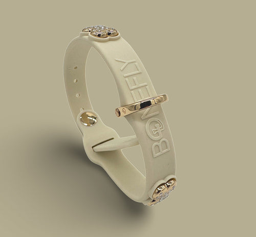 Home | BONEFLY - The active luxury lifestyle dog brand