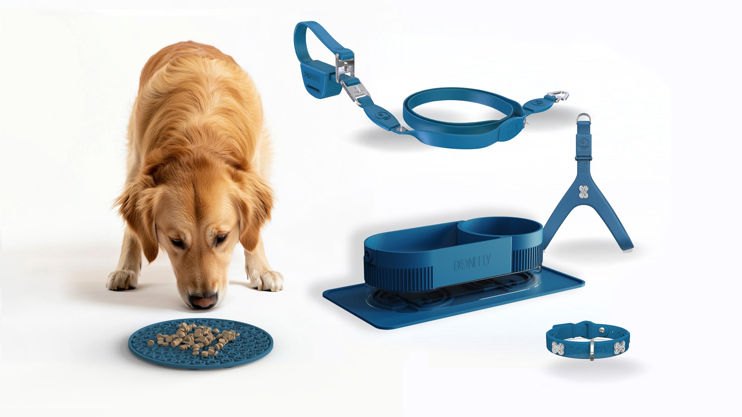 Home | BONEFLY - The active luxury lifestyle dog brand