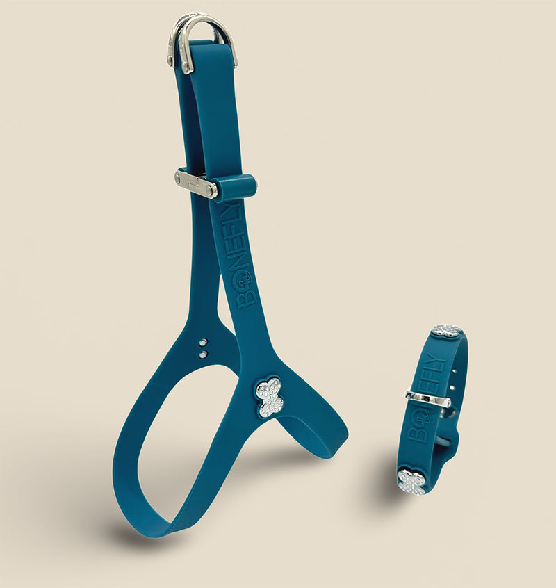 Home | BONEFLY - The active luxury lifestyle dog brand