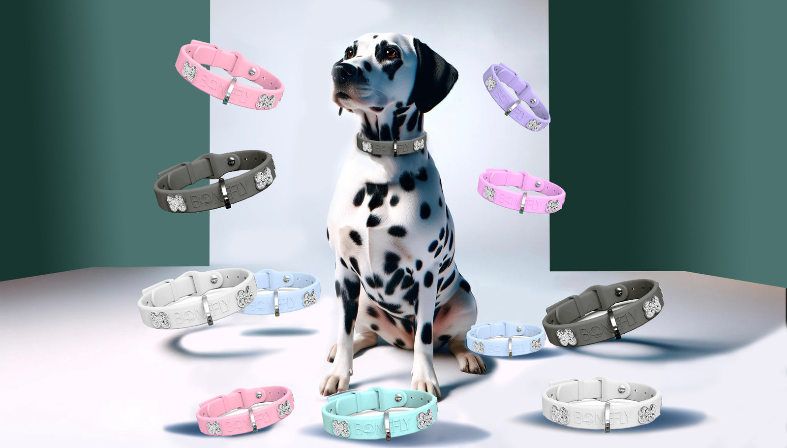 Home | BONEFLY - The active luxury lifestyle dog brand