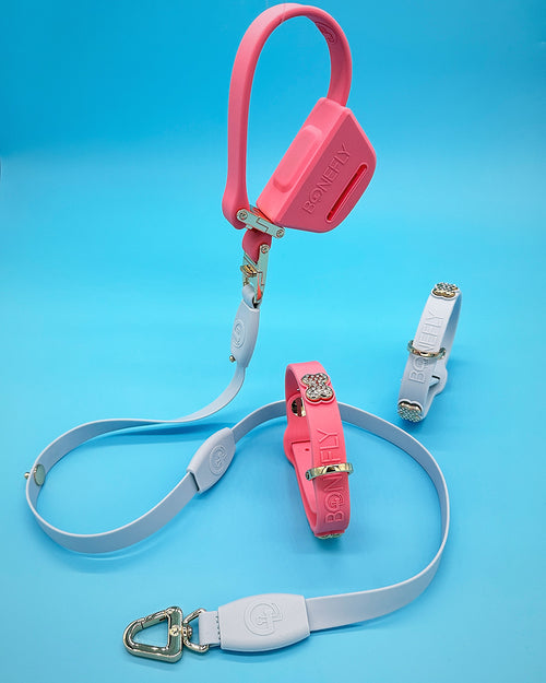 Home | BONEFLY - The active luxury lifestyle dog brand